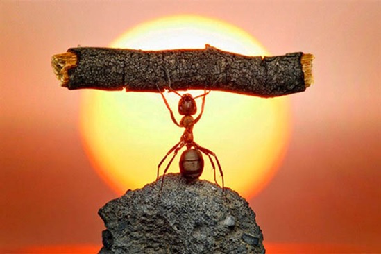 20 dicas para você aumentar sua persistência e perseverança em vendas ...